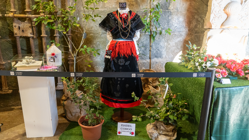 MOSTRA DA CAMELIA TUI (25) - ValmiñorTV